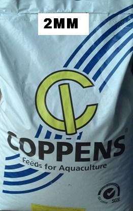 Buy and export commodities, foodstuffs, products from Africa